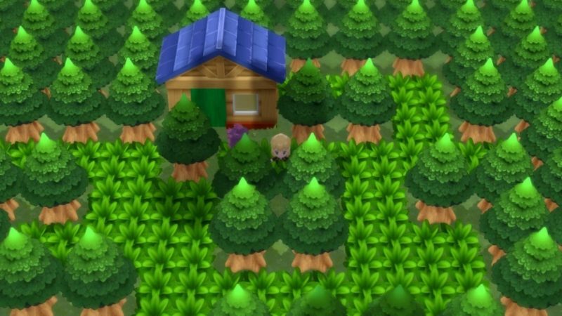 Where to find the Black Belt, Expert Belt, and Focus Sash in Pokémon ...