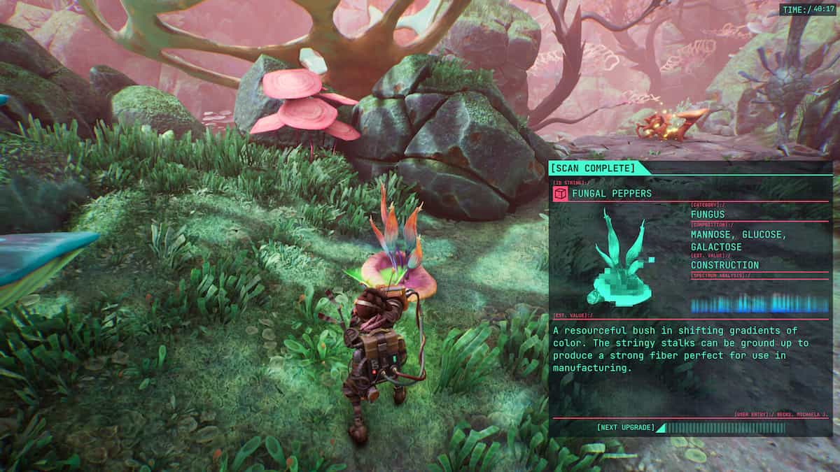 How to find and collect fiber resources in The Gunk - Gamepur