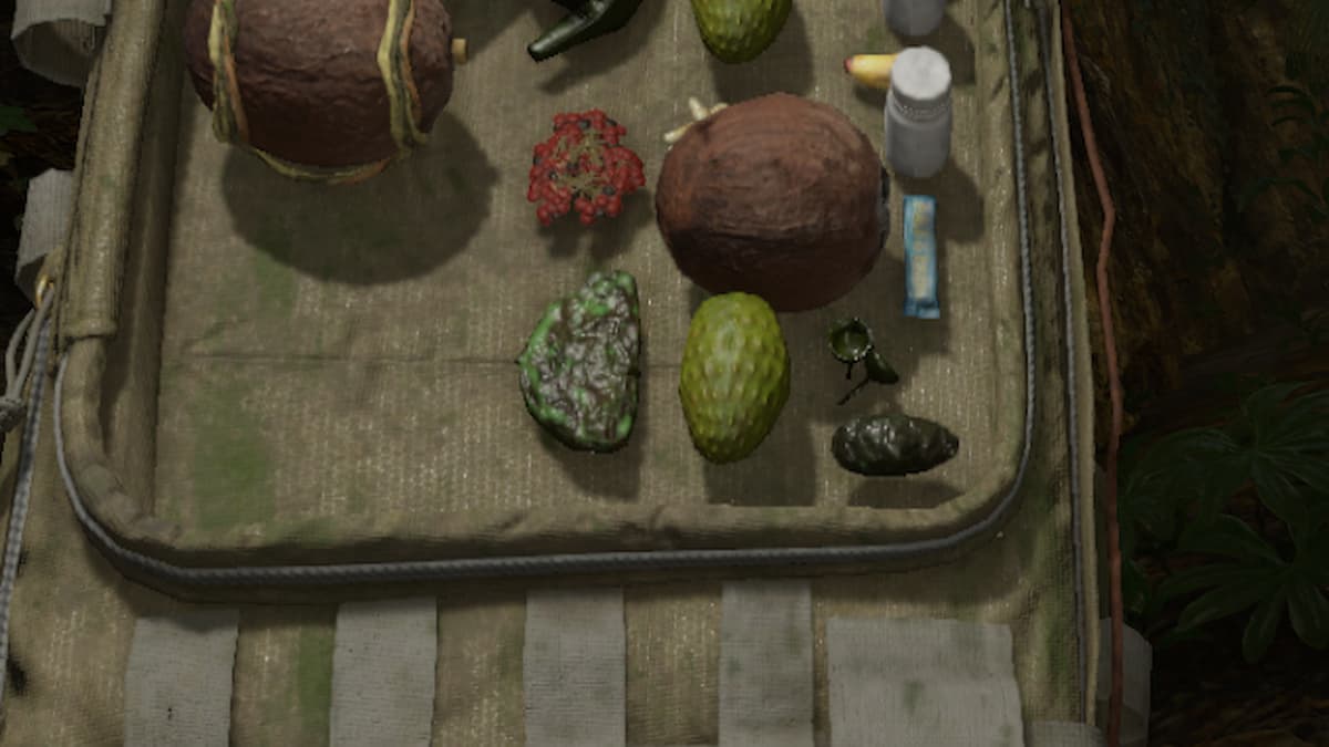 A beginner's guide to Green Hell – How to play Green Hell - Gamepur