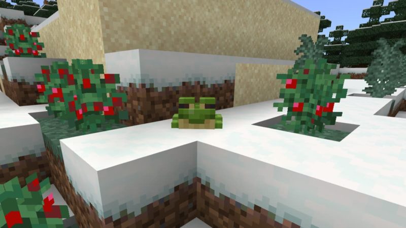 How to spawn Cold, Temperate, or Warm Frogs in Minecraft - Gamepur