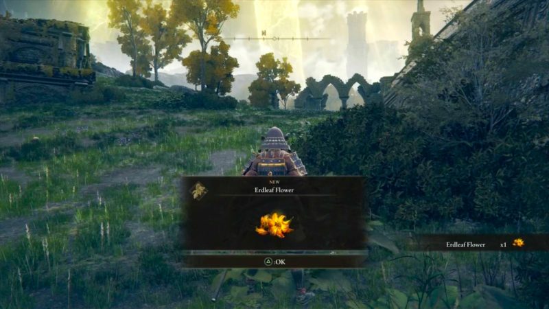 Where to find Erdleaf Flower in Elden Ring - and what it does - Gamepur