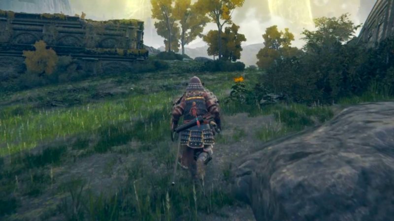 Where to find Erdleaf Flower in Elden Ring - and what it does - Gamepur