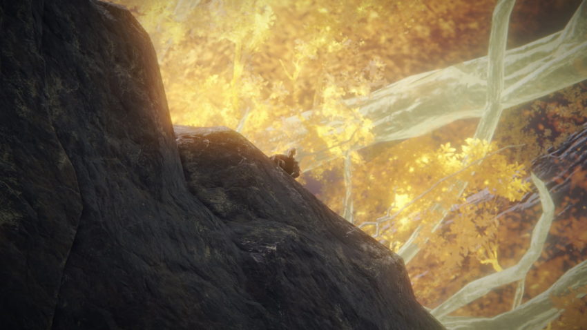 How to get Patches to kick you off a ledge in Elden Ring - Gamepur