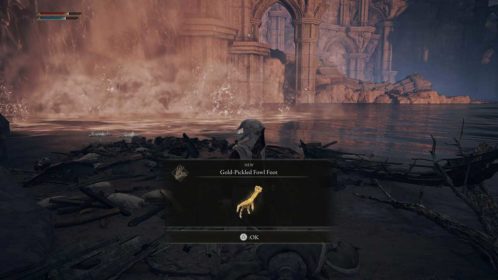 Where to find Gold-Pickled Fowl Foot in Elden Ring - and what it does ...