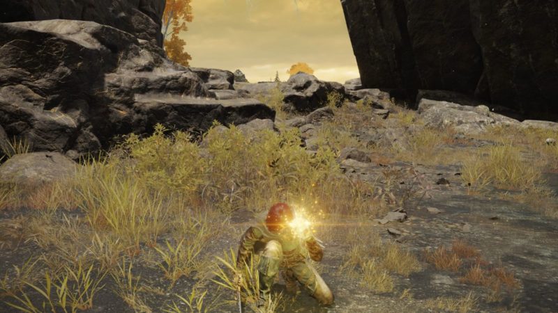All Sacred Tear locations in Limgrave in Elden Ring - Gamepur