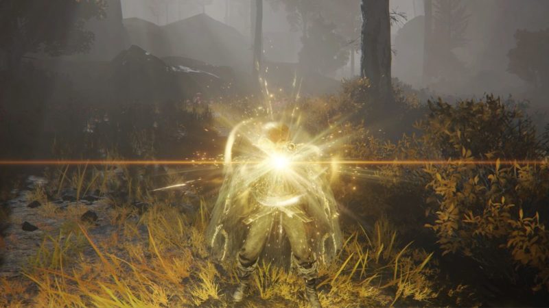 Elden Ring Wrath Of Gold - Loomis Shenclace