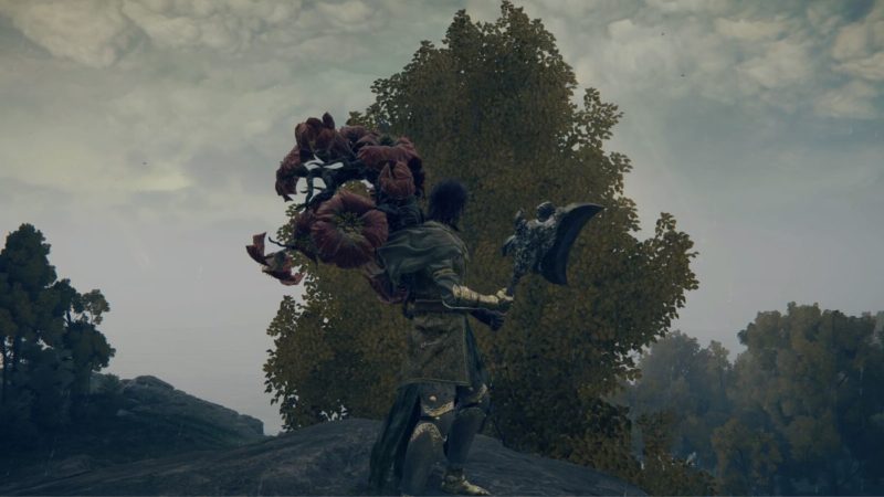 How to get the Sacrificial Axe in Elden Ring - Gamepur