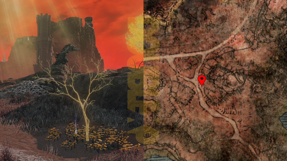 Where to find all Golden Seeds in Caelid — Elden Ring Golden Seed ...
