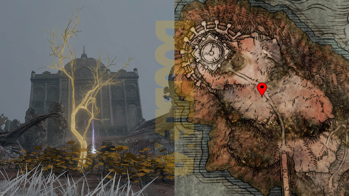 Where to find all Golden Seeds in Caelid — Elden Ring Golden Seed ...