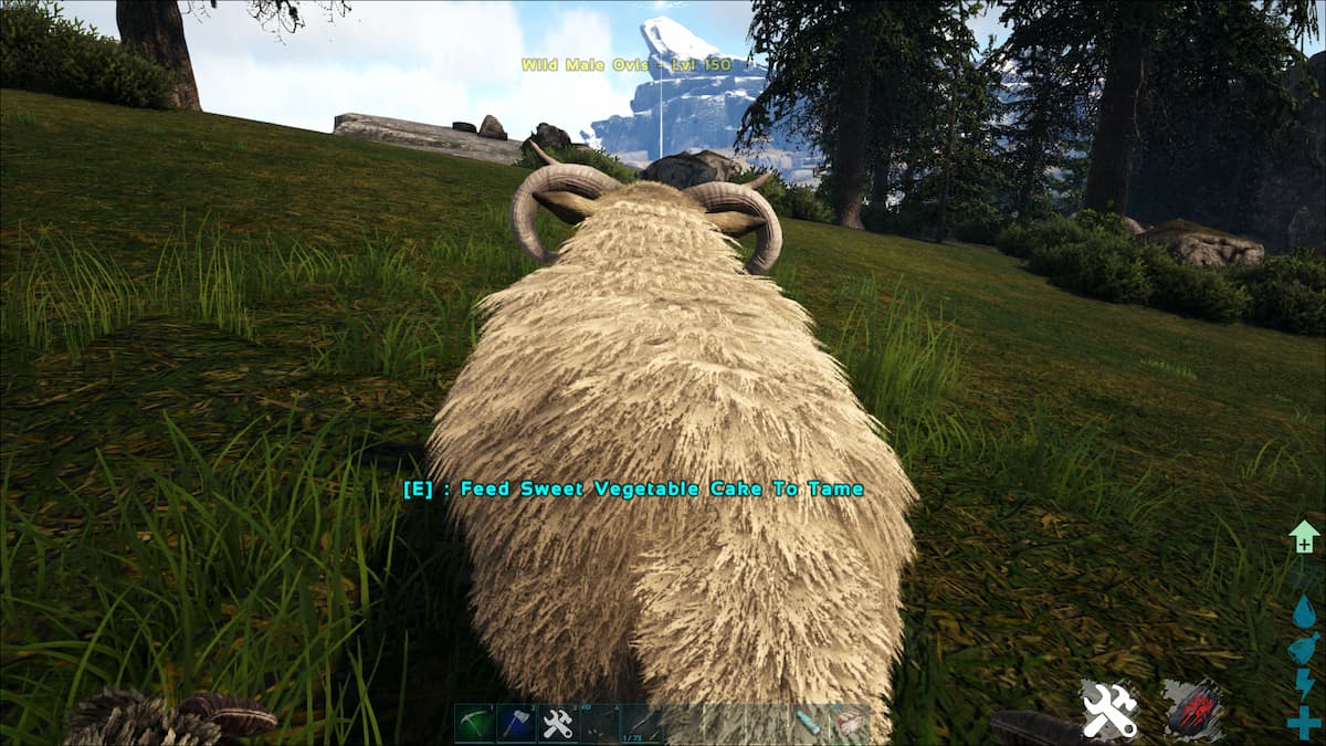 How to tame an Ovis in Ark: Survival Evolved - Gamepur