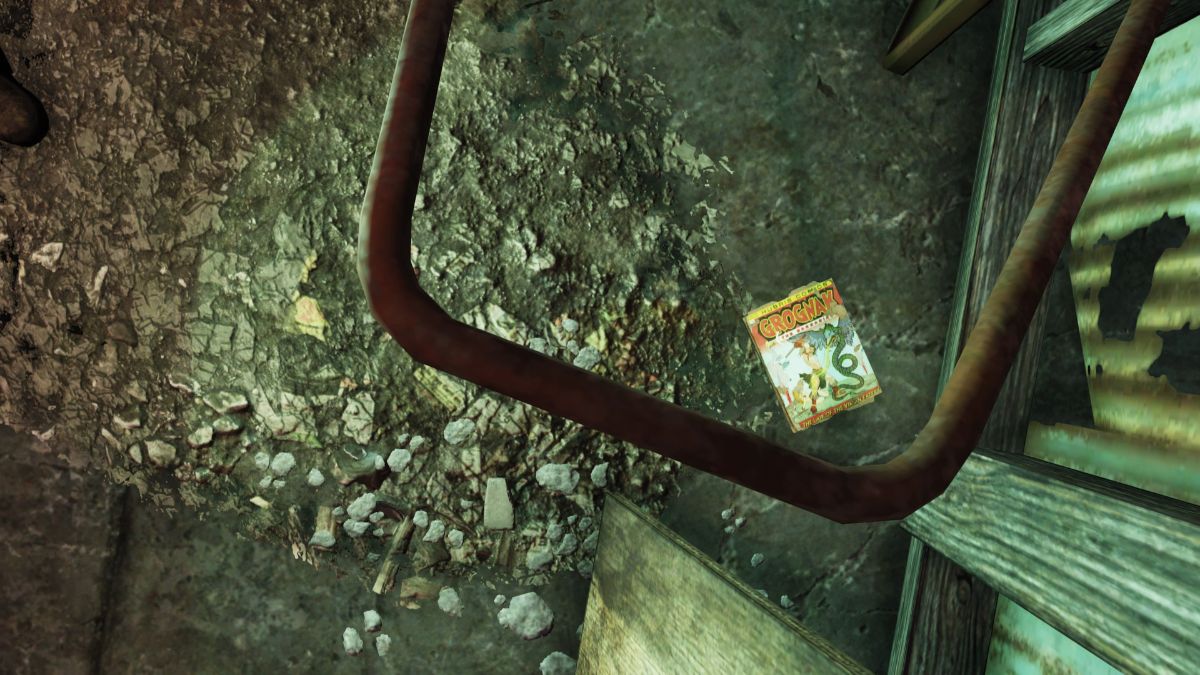 How do Magazines work in Fallout 76 - Gamepur