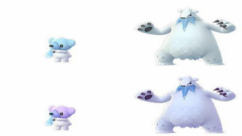 Every bear Pokemon in the series, ranked - Gamepur