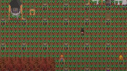 How to get Sweet Gem Berries in Stardew Valley - Gamepur