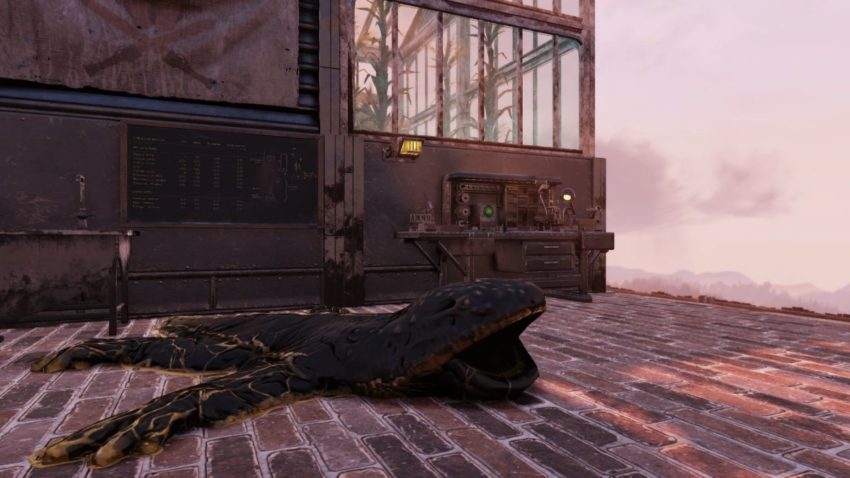 The best way to farm ammo in Fallout 76 - Gamepur