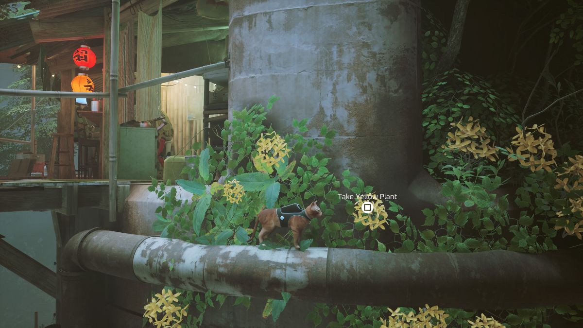 Where to find the Red, Yellow, and Purple Flowers for Malo in Stray ...