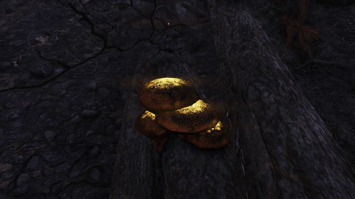 What is Blight in Fallout 76? - Gamepur What is Blight in Fallout 76? - Gamepur
