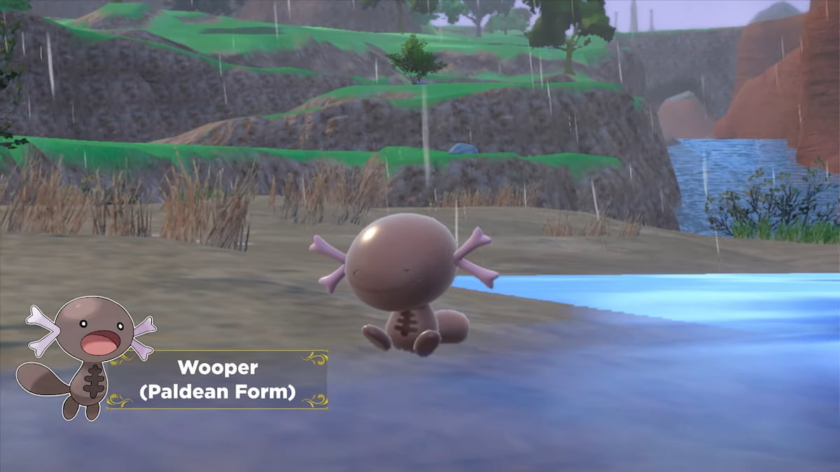 All Paldea regional Pokémon forms in Pokémon Scarlet and Violet - Gamepur