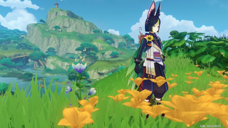 Where to get Padisarahs in Genshin Impact - Padisarah Locations - Gamepur