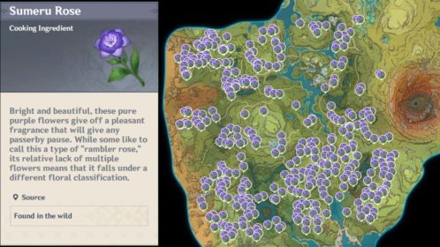 Where to get Sumeru Roses in Genshin Impact - Sumeru Rose Locations ...