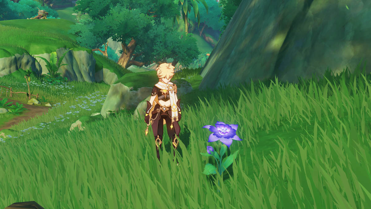 Where to get Sumeru Roses in Genshin Impact - Sumeru Rose Locations ...