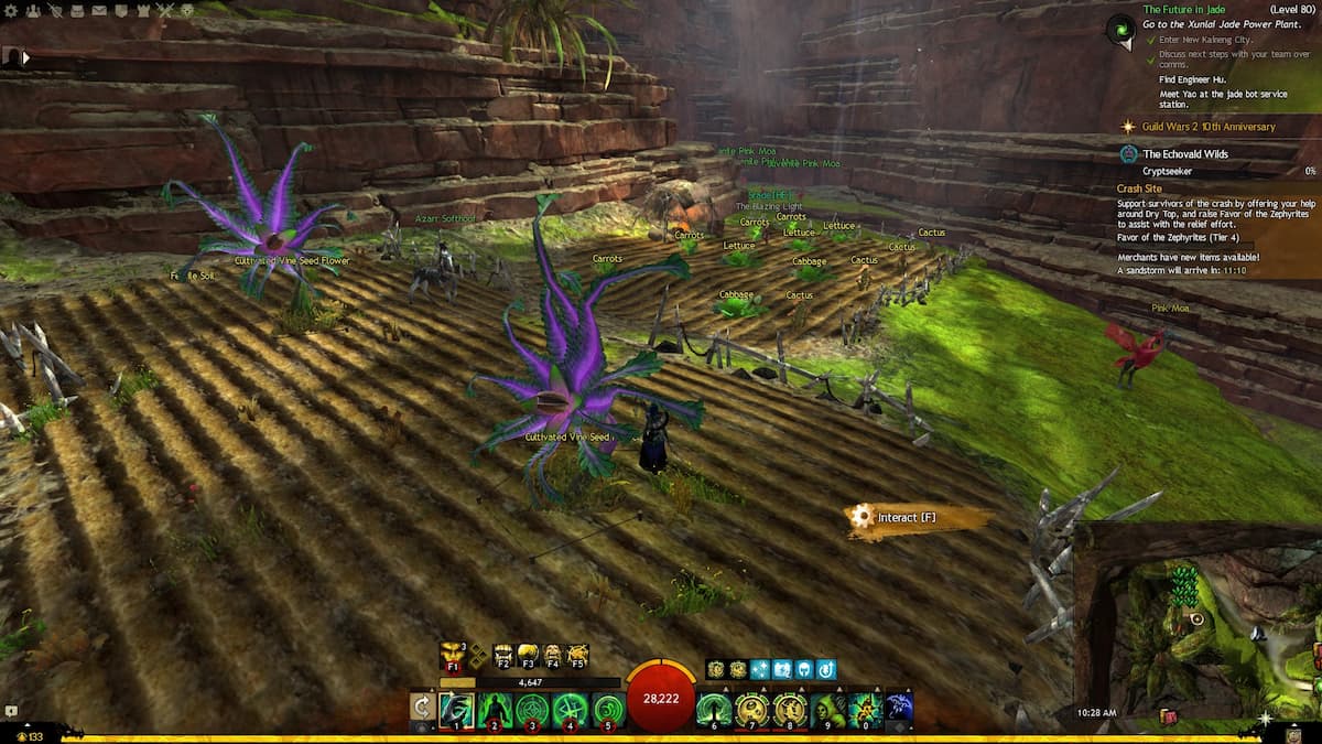 How to complete the Return to Dry Top 1 Achievement in Guild Wars 2 ...