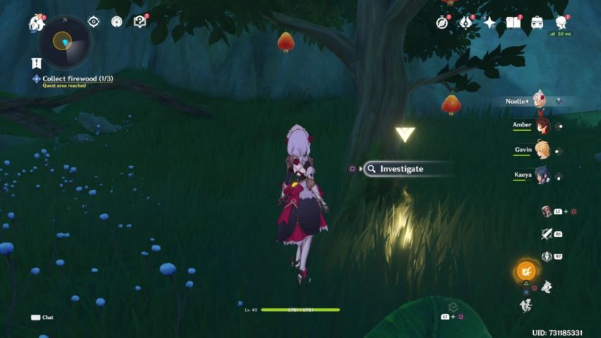 Genshin Impact – Into the Woods quest guide - Gamepur