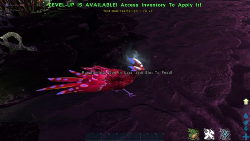 How to tame a Featherlight in Ark: Survival Evolved - Gamepur