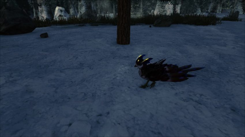 How to tame a Featherlight in Ark: Survival Evolved - Gamepur