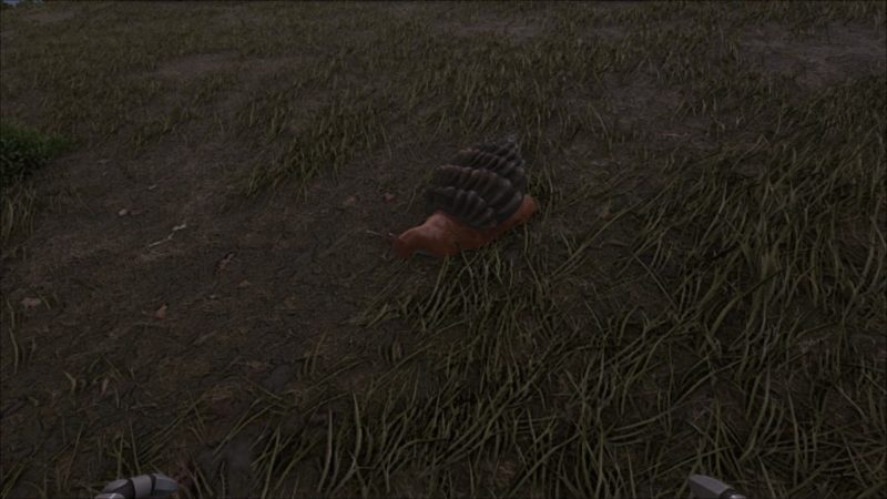 How to tame an Achatina in Ark: Survival Evolved - Gamepur