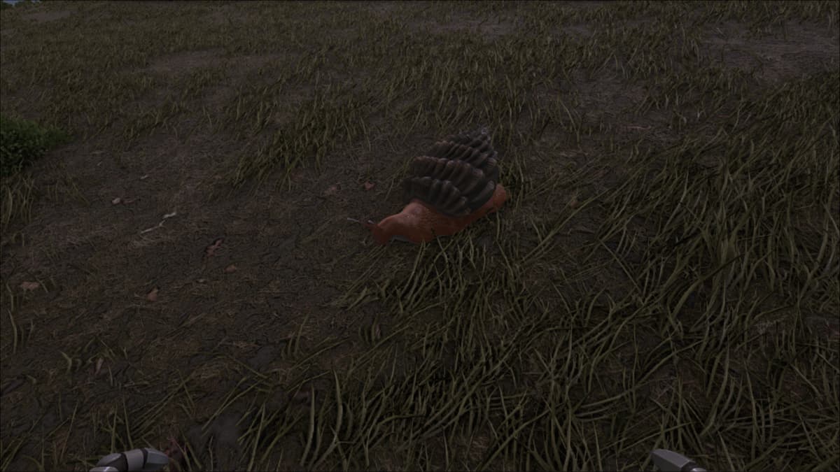 Как приручить ахатину в Ark: Survival Evolved - NexusMoD.RU