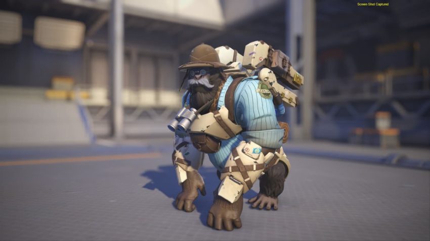 Every legendary Winston skin in Overwatch 2 - Gamepur