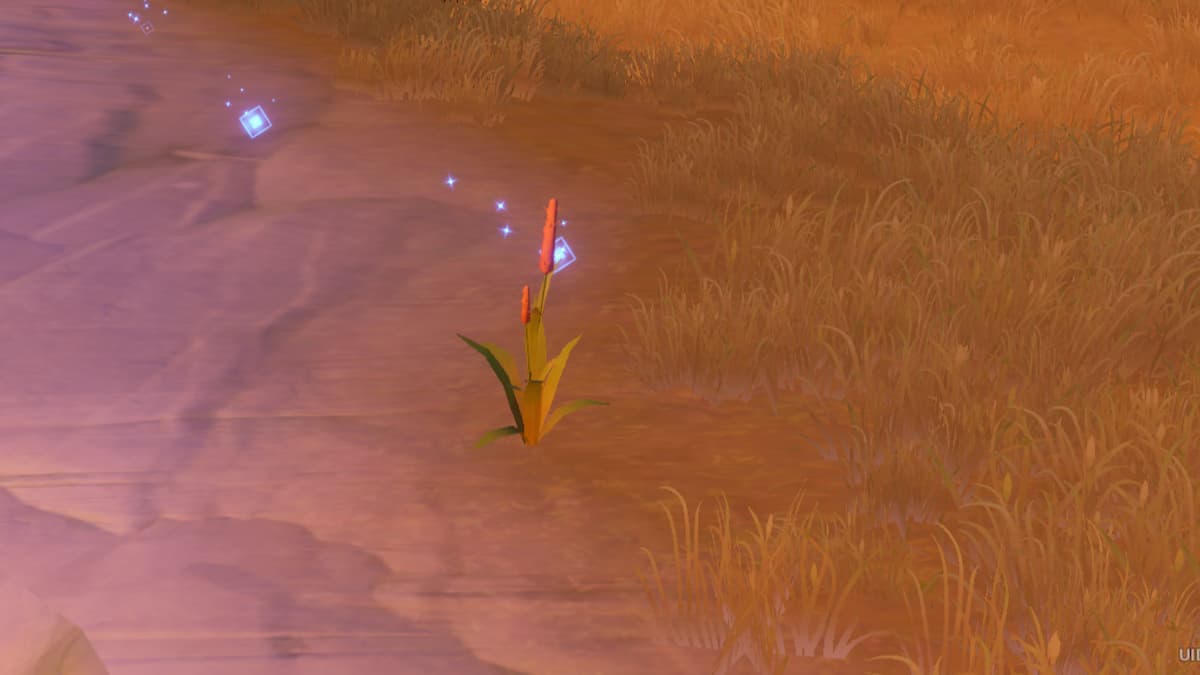 How to get Brown Rice in Tower of Fantasy - Gamepur