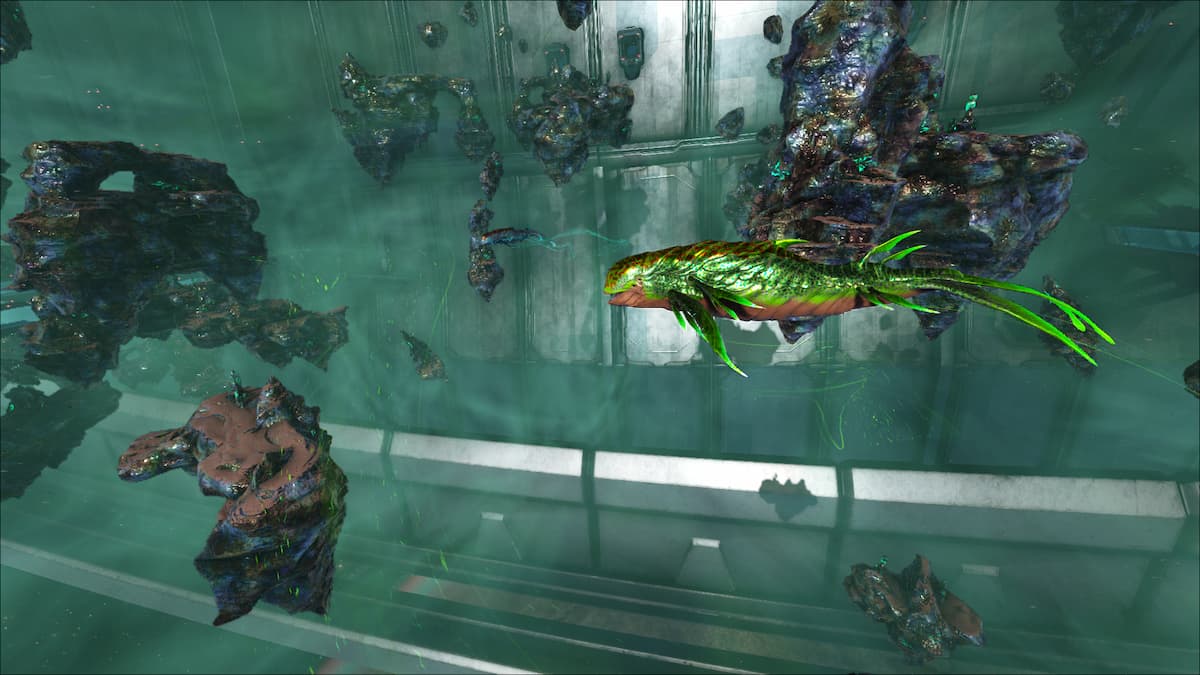 How to tame an Astrodelphis in Ark: Survival Evolved - Gamepur