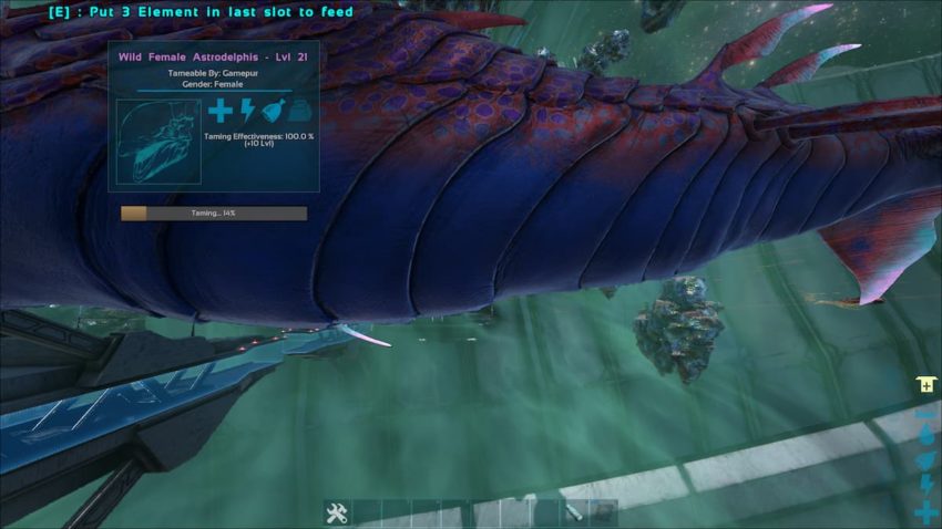 How to tame an Astrodelphis in Ark: Survival Evolved - Gamepur