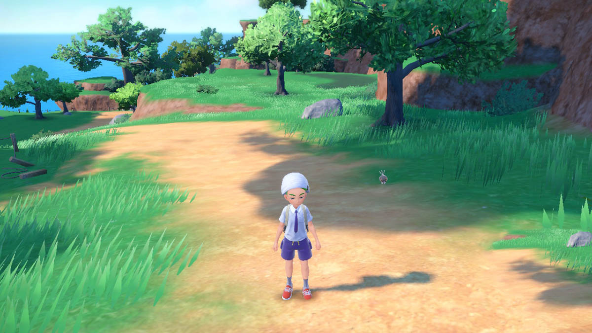 Where To Get Curry Powder Pokemon Scarlet at Ralph Rutter blog