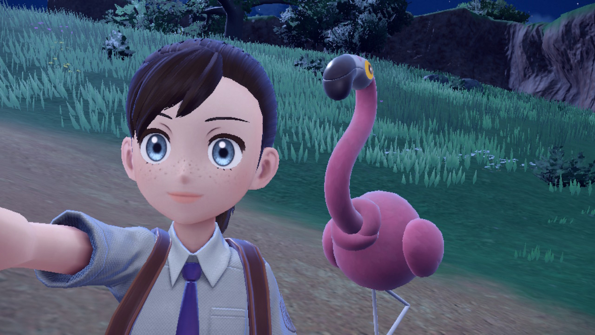 Where to find Flamigo in Pokémon Scarlet and Violet - Gamepur