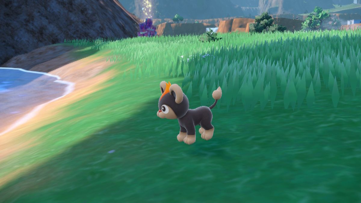How to get Litleo Tuft in Pokémon Scarlet and Violet - Gamepur